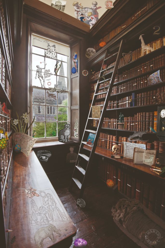 Can You Spy Marsh s Library can-you-spy-marsh-s-library